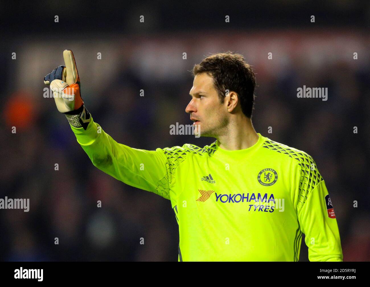 Chelsea goalkeeper Asmir Begovic Stock Photo - Alamy