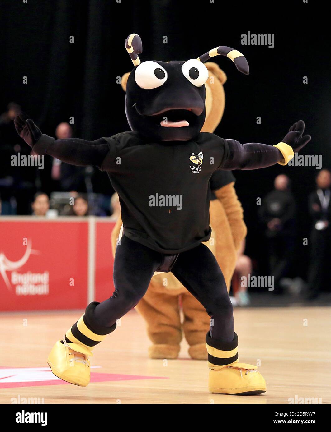 Wasps mascot Sting Stock Photo - Alamy