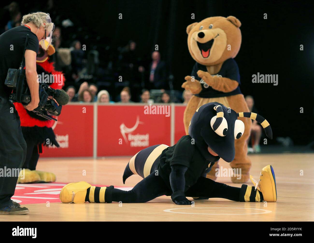 Wasps mascot Sting Stock Photo - Alamy