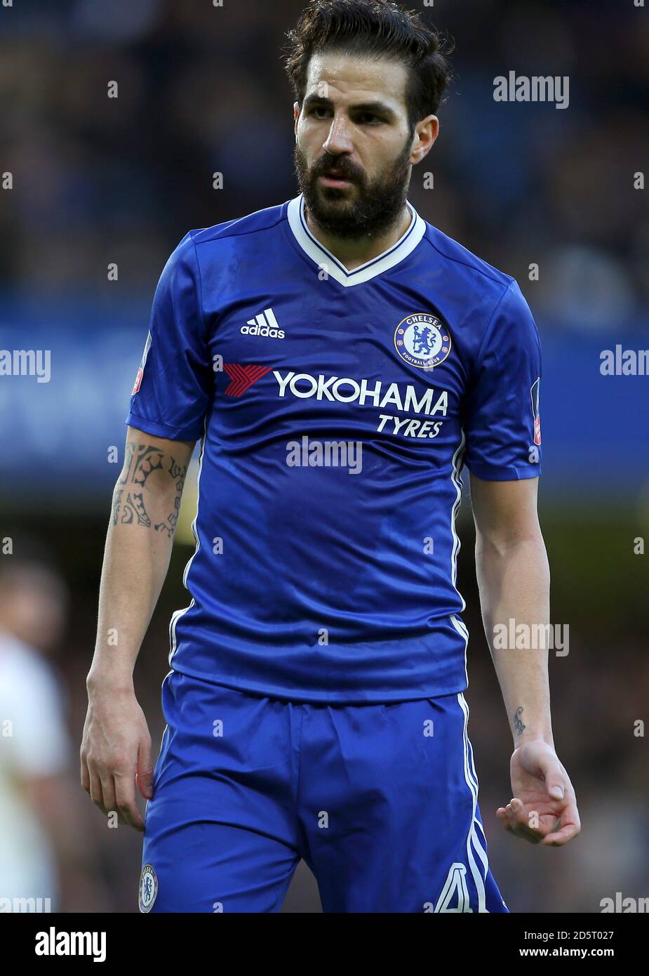 Cesc Fabregas, Chelsea Stock Photo - Alamy