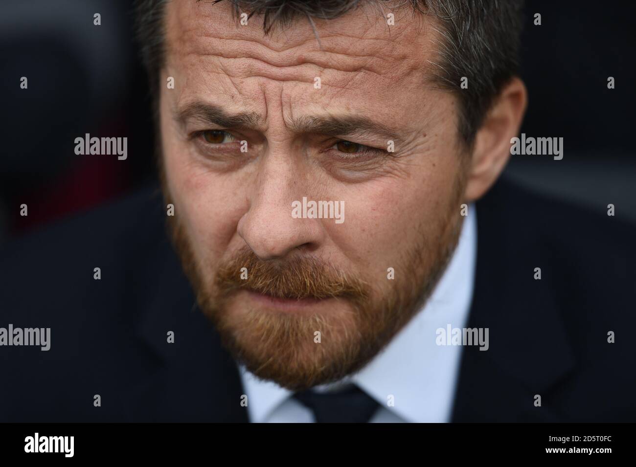 Fulham manager Slavisa Jokanovic Stock Photo - Alamy