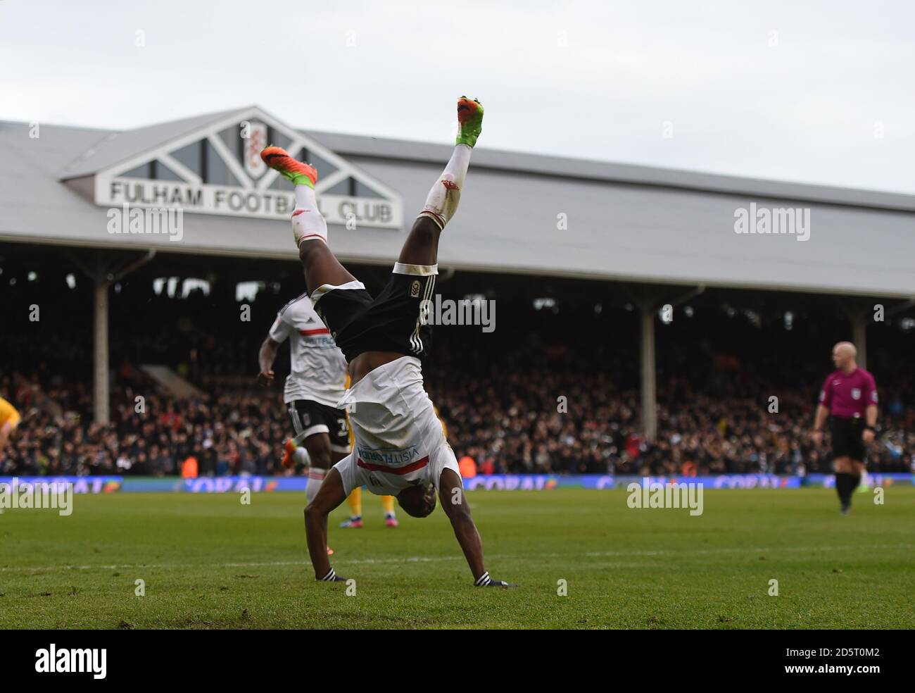 Fulhams neeskens kebano hi-res stock photography and images - Alamy