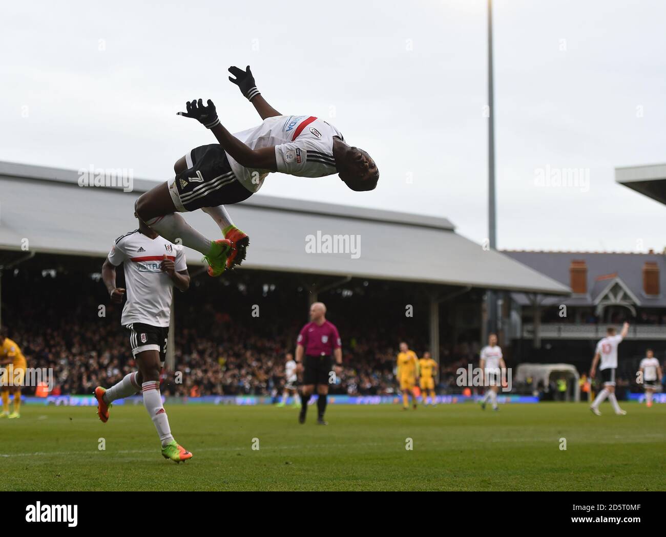 Fulhams neeskens kebano hi-res stock photography and images - Alamy