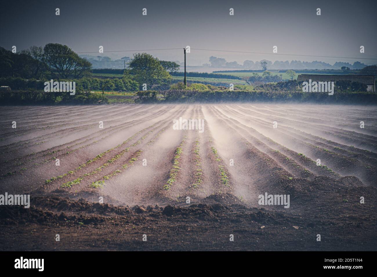 Farmers Field, Cornwall Stock Photo - Alamy