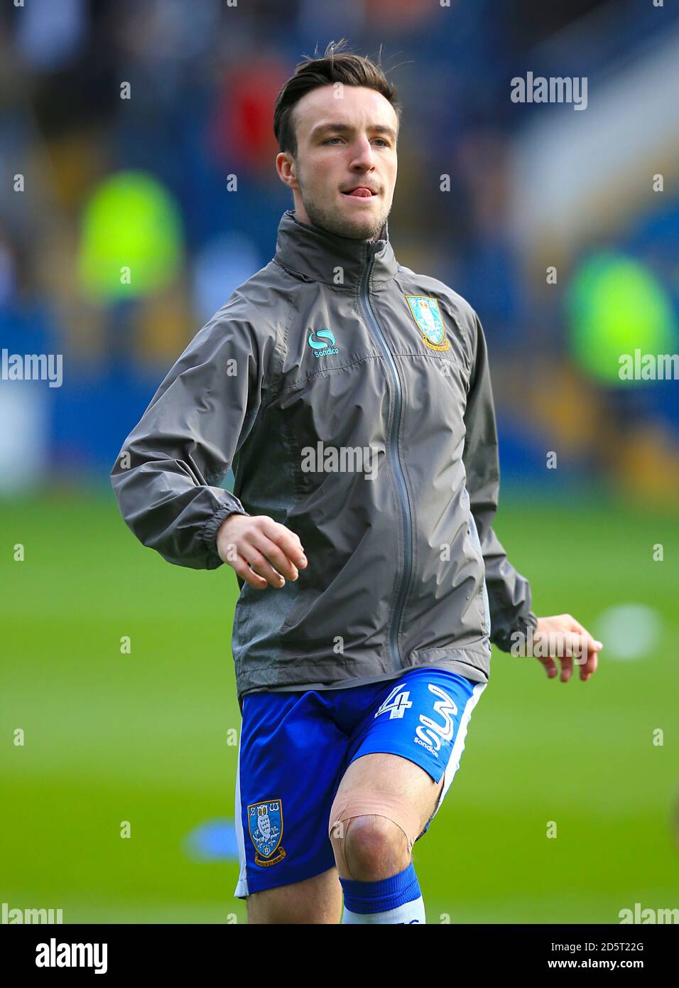 Morgan Fox, Sheffield Wednesday Stock Photo - Alamy