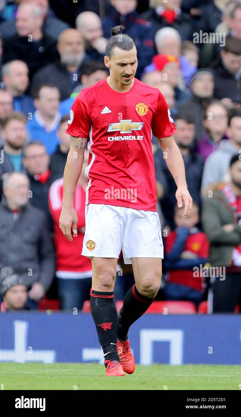 Manchester United's Zlatan Ibrahimovic Stock Photo - Alamy