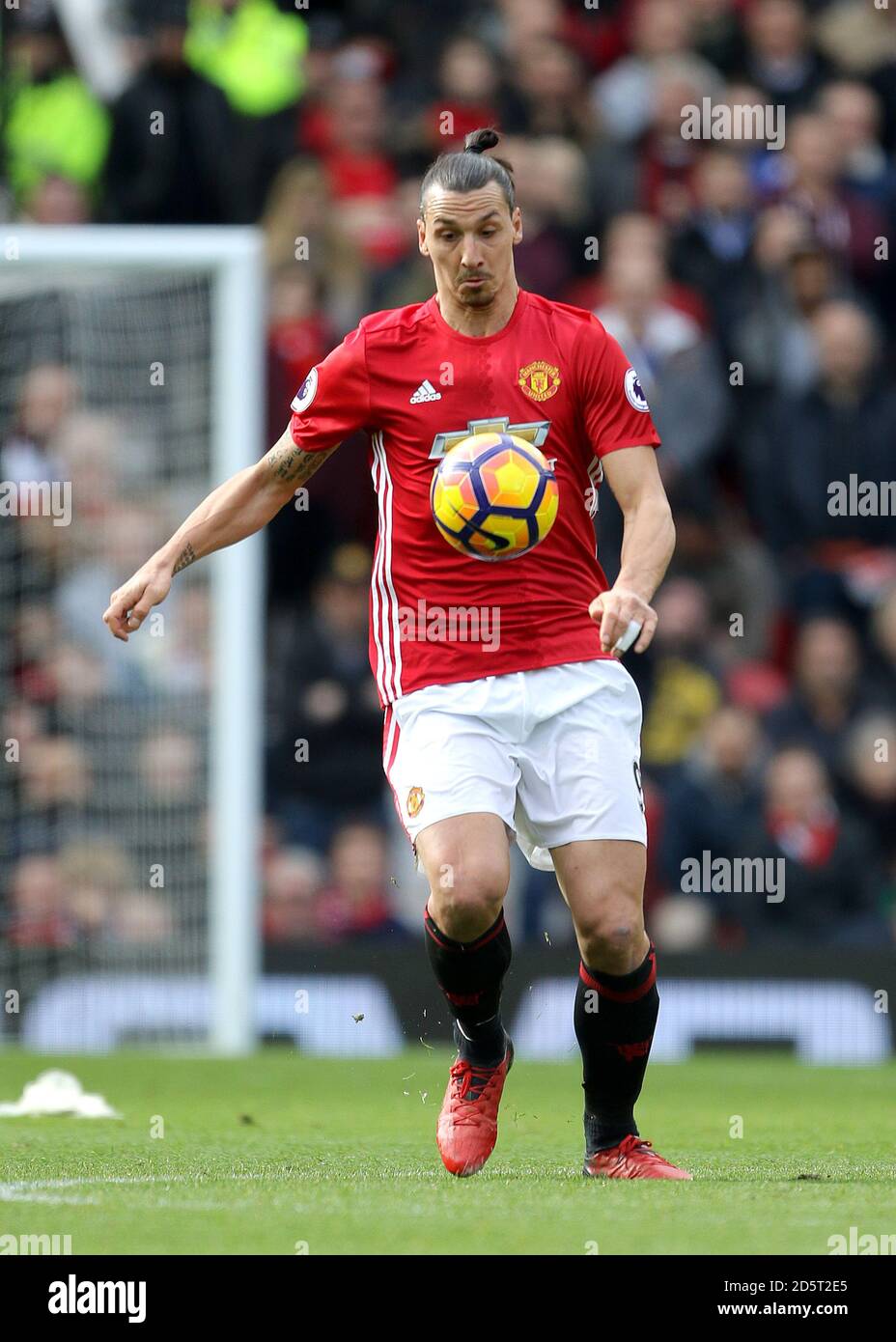 Manchester United's Zlatan Ibrahimovic Stock Photo - Alamy