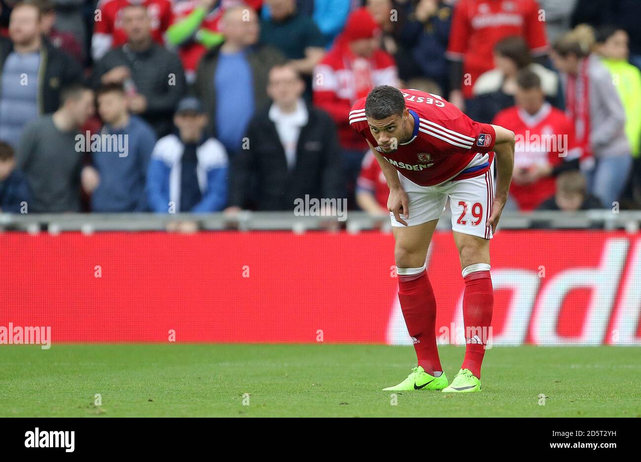 Middlesbrough's Rudy Gestede feels his hamstring after pulling up with ...