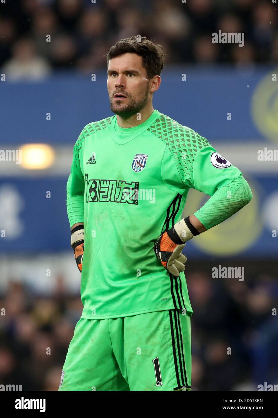 West Bromwich Albion goalkeeper Ben Foster Stock Photo - Alamy