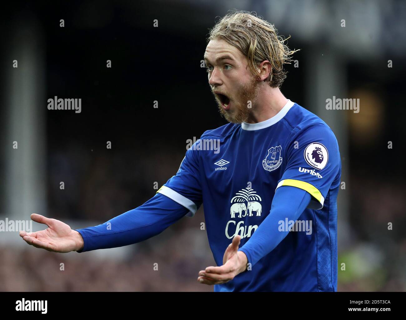 Everton's Tom Davies Stock Photo - Alamy