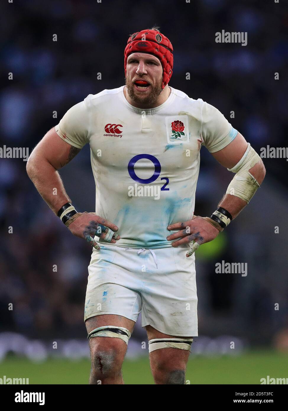 James haskell hi-res stock photography and images - Alamy