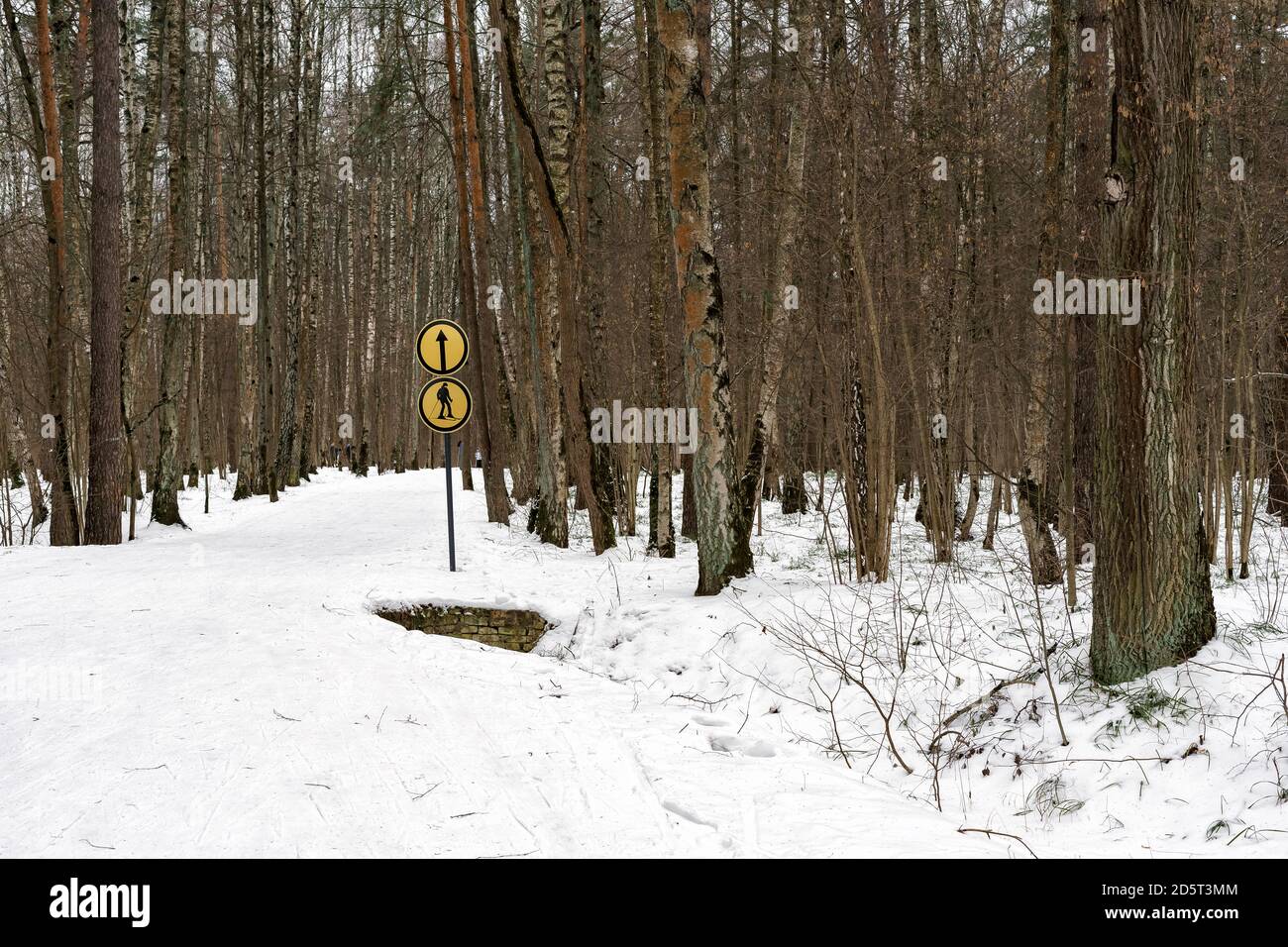 ski track sign in winter park. Winter holidays in winter. Winter city ...