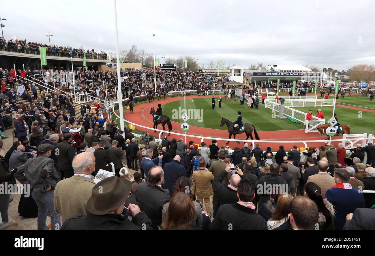 Cheltenham parade ring hi-res stock photography and images - Alamy