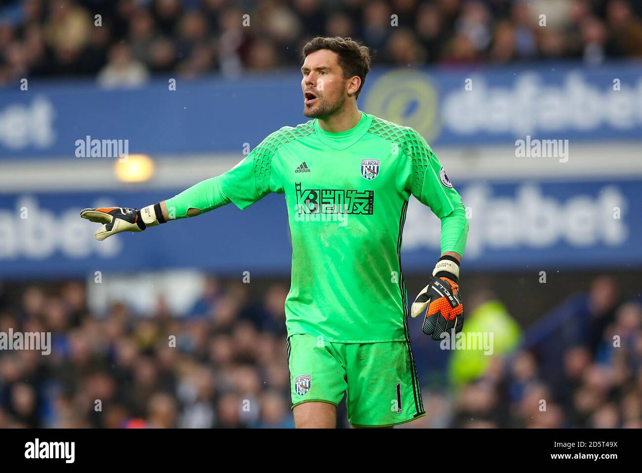 West Bromwich Albion goalkeeper Ben Foster Stock Photo - Alamy