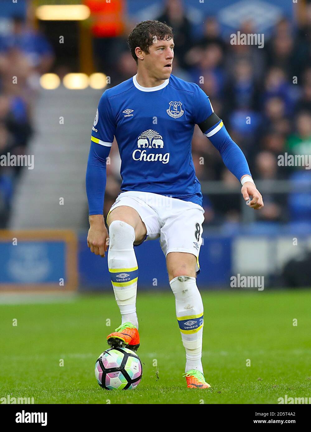 Ross Barkley, Everton Stock Photo - Alamy Ross Barkley, Everton Stock Photo - Alamy