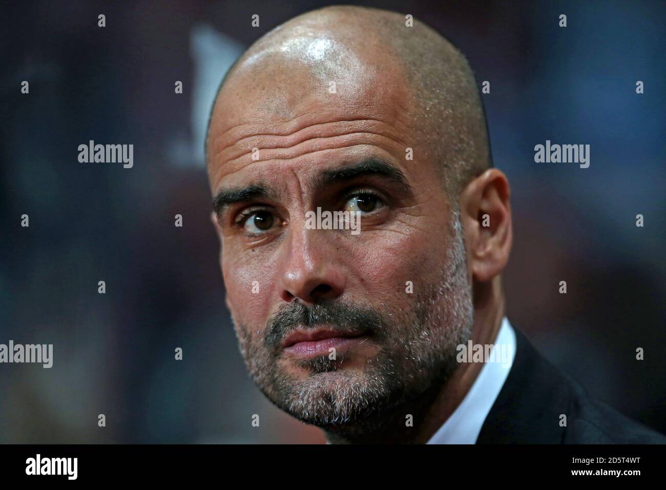 Manchester City manager Pep Guardiola Stock Photo - Alamy