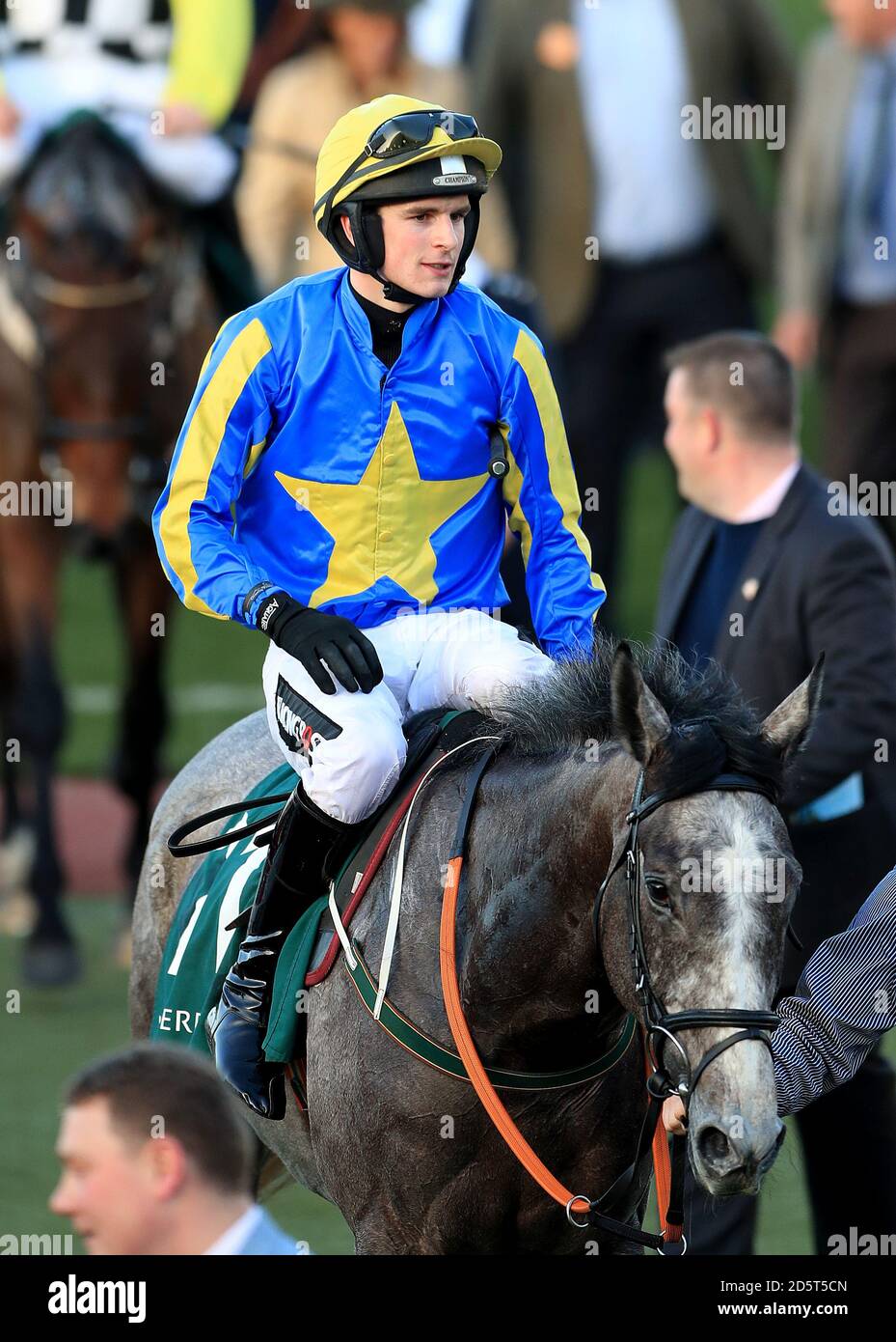 Jockey Danny Mullins on Debuchet during Ladies Day of the 2017 ...