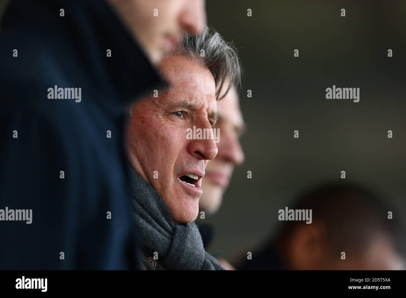 Lord Seb Coe in the stands Stock Photo - Alamy