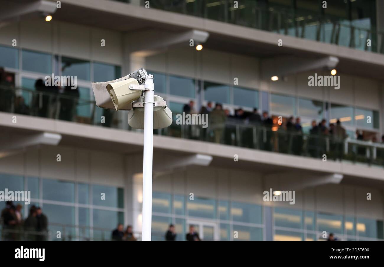 Princess royal stand cheltenham hi-res stock photography and images - Alamy