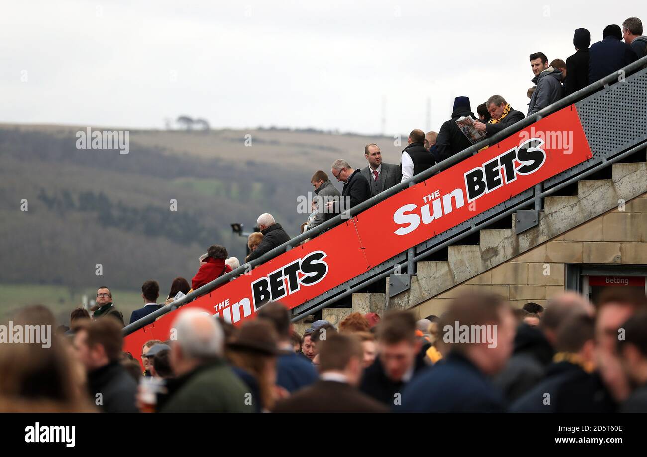 Best mate horse hi-res stock photography and images - Alamy