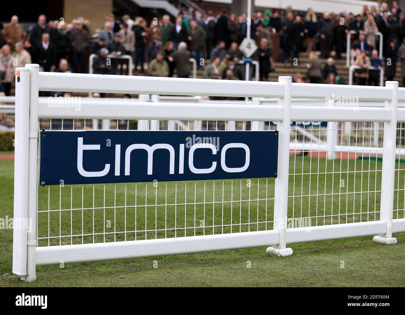 Timico branding in the parade ring during Gold Cup Day of the 2017 ...