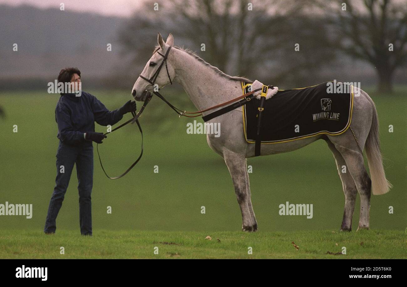Trainer venetia williams hi-res stock photography and images - Alamy