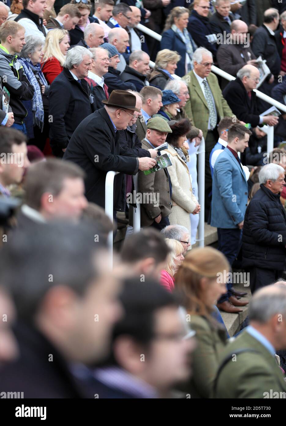 Racegoers watch horses in the parade ring during day one of the 2017 ...