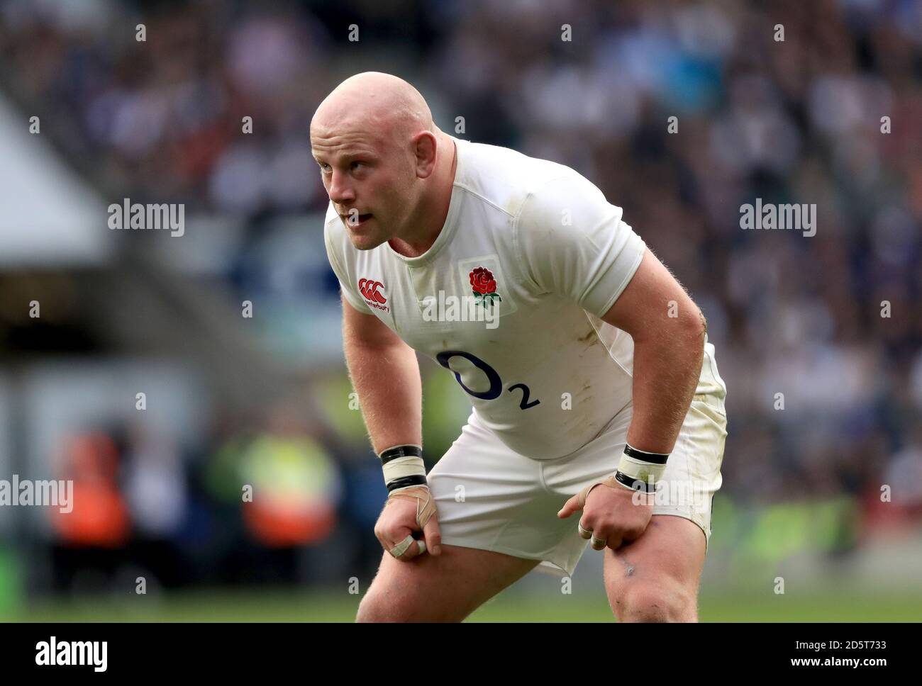 Dan Cole, England Stock Photo - Alamy