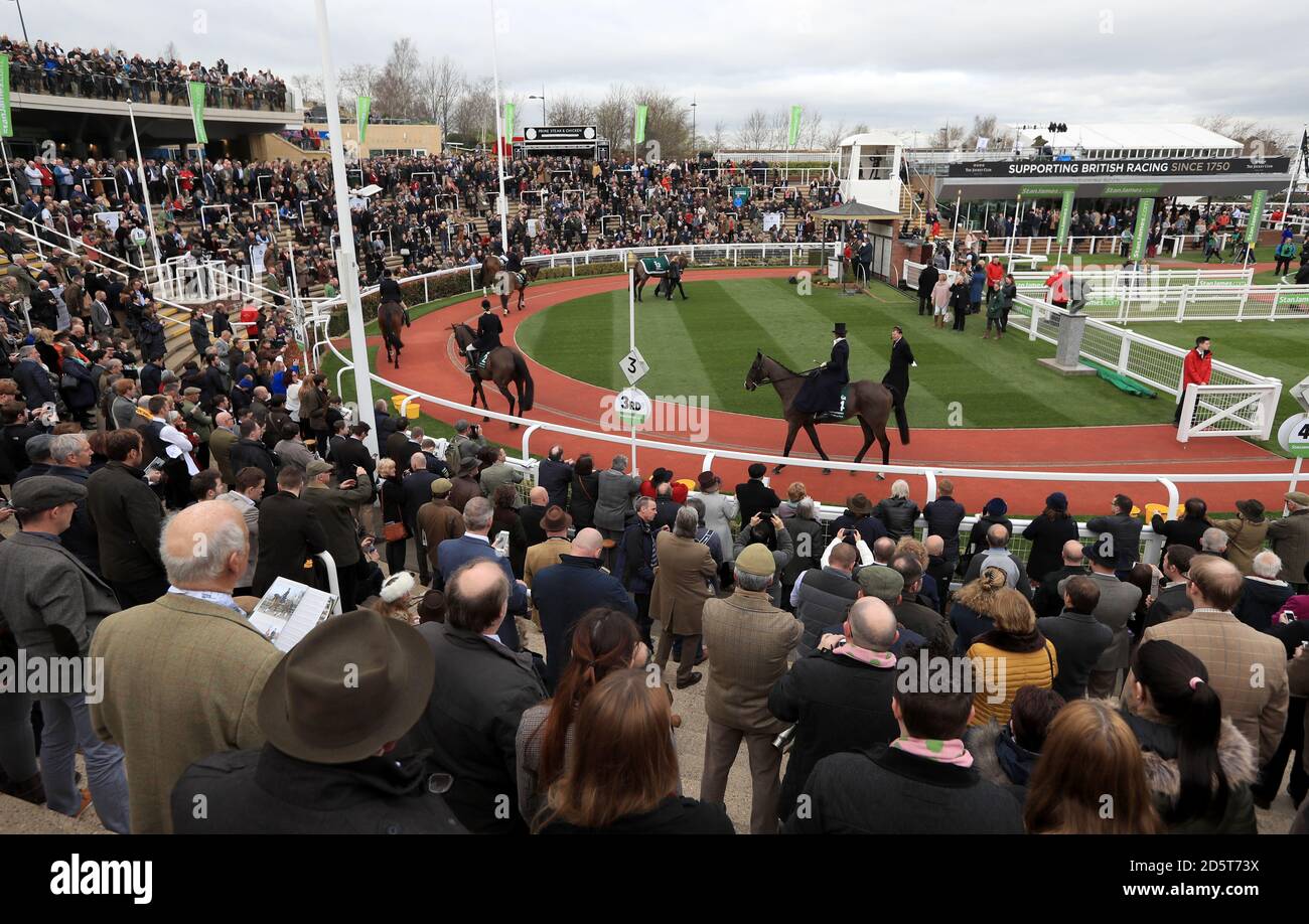 Racegoers watch horses in the parade ring during day one of the 2017 ...