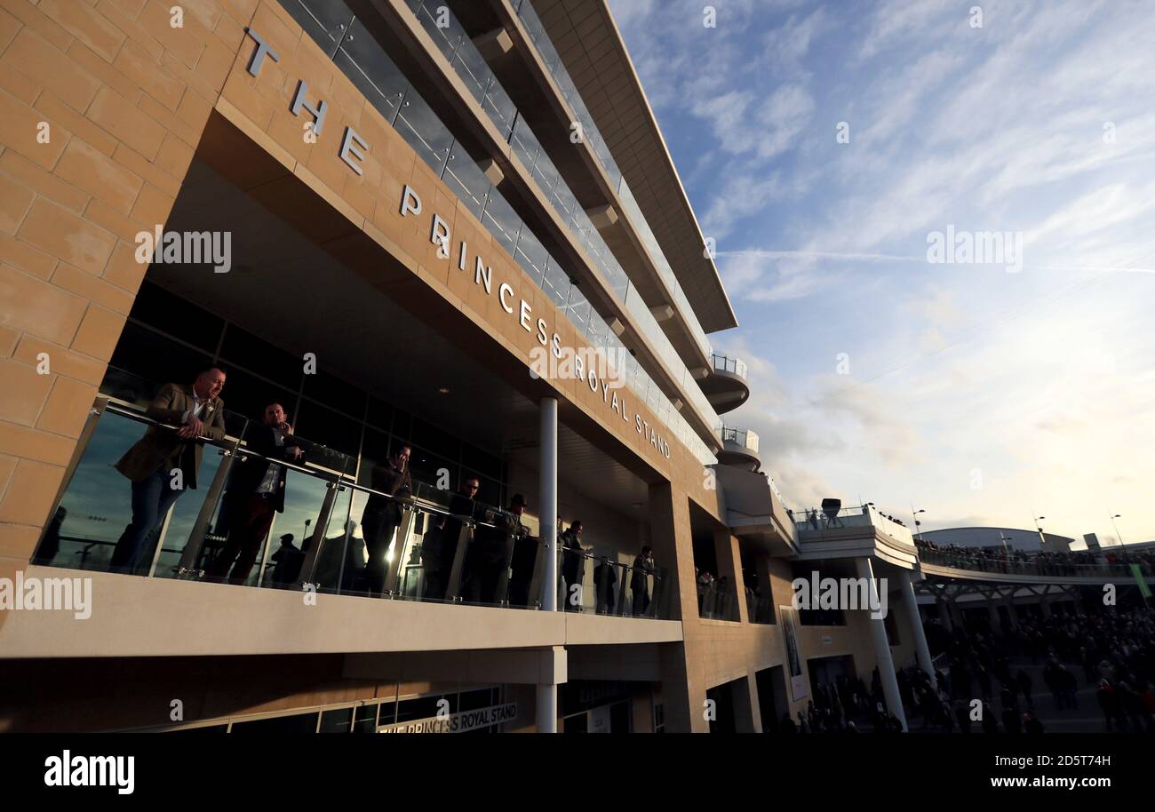 Princess royal stand cheltenham hi-res stock photography and images - Alamy