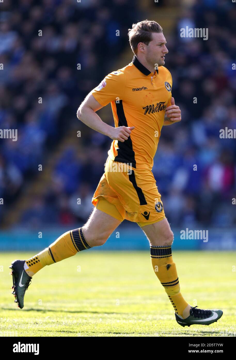 Ryan bird hi-res stock photography and images - Alamy