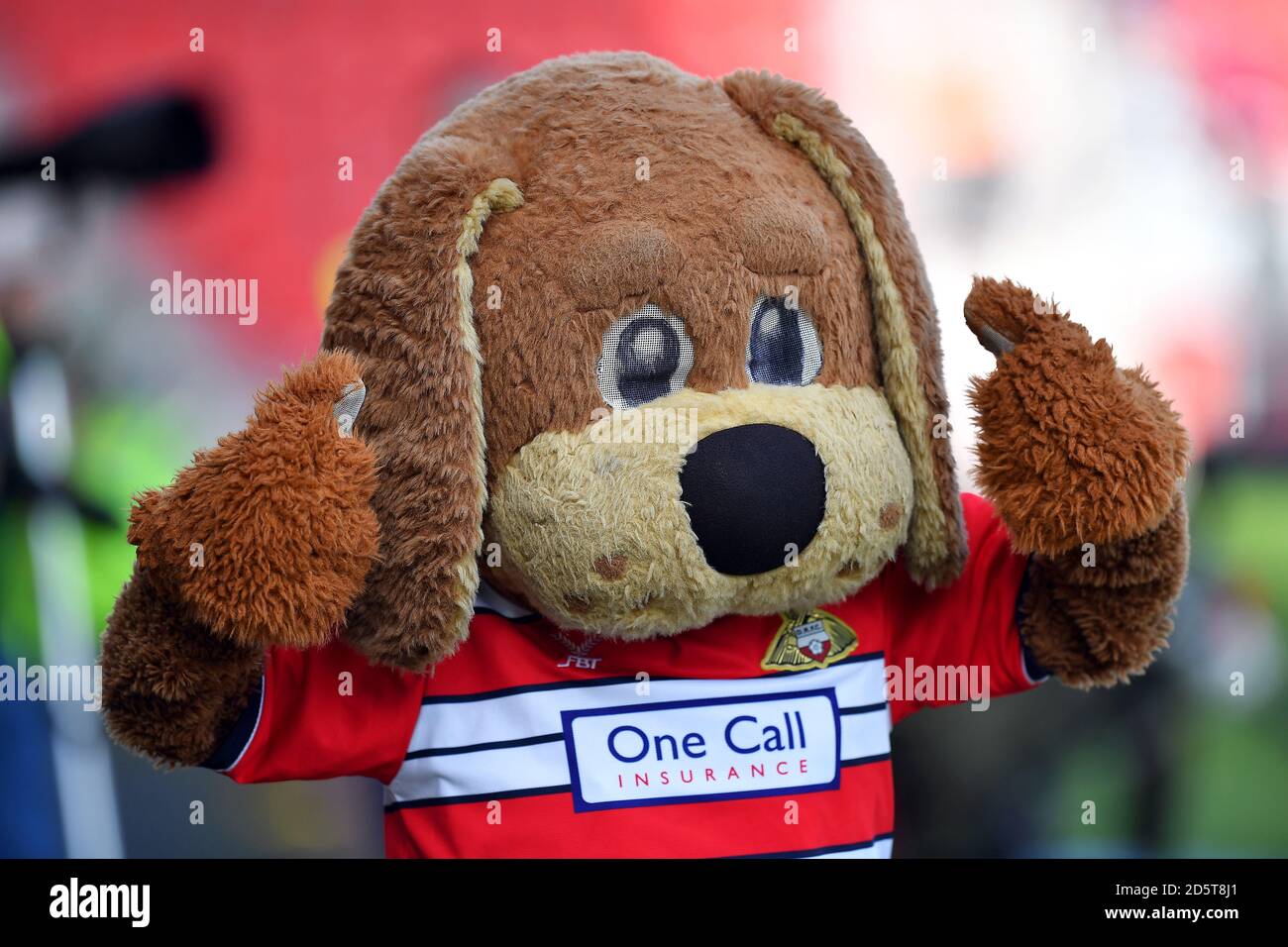 Doncaster Rovers mascot Donny The Dog Stock Photo - Alamy