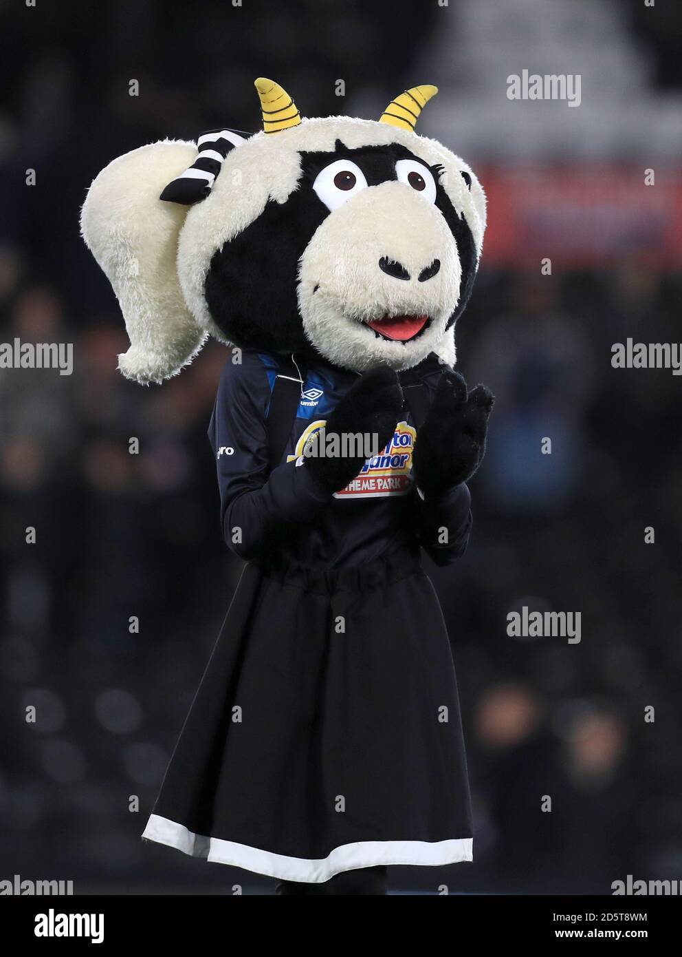 Derby County mascot Ewie Stock Photo - Alamy