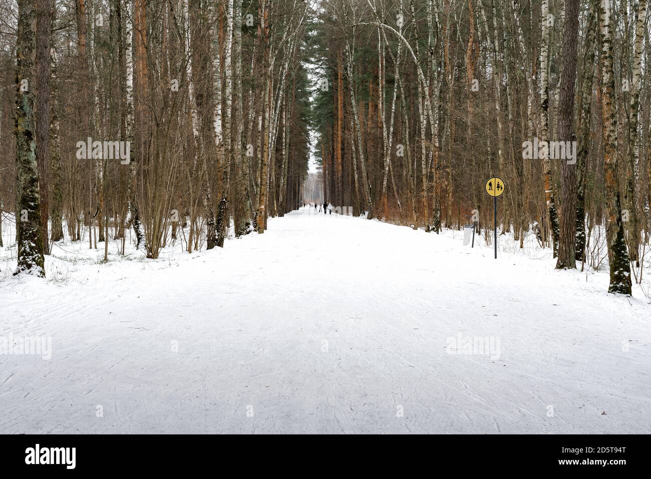 the snow trail is divided into 2 parts, one for skiers and the other ...