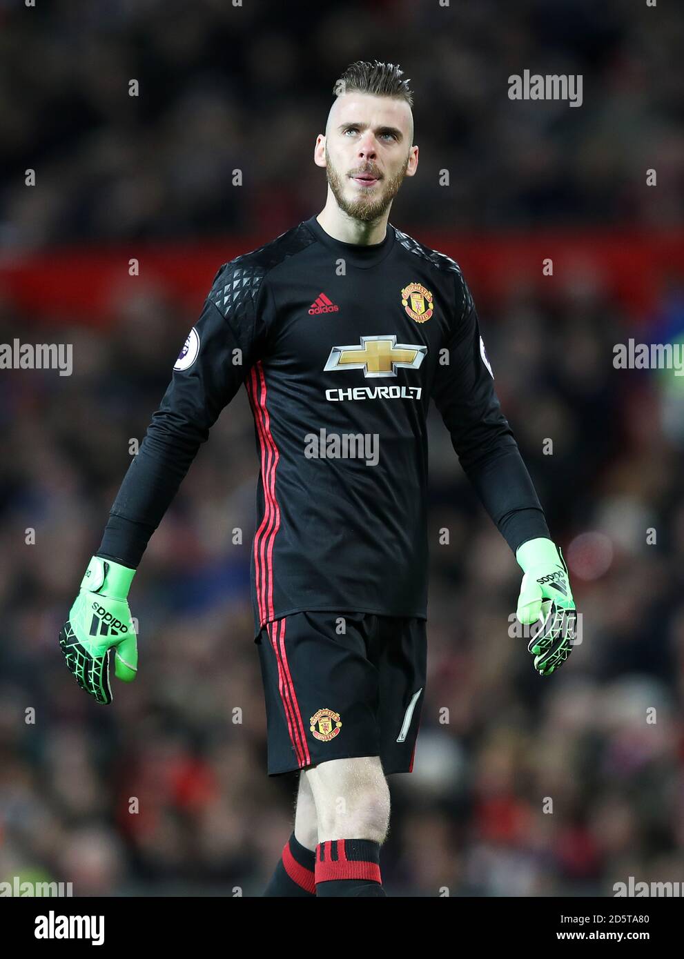 Manchester United goalkeeper David De Gea Stock Photo - Alamy