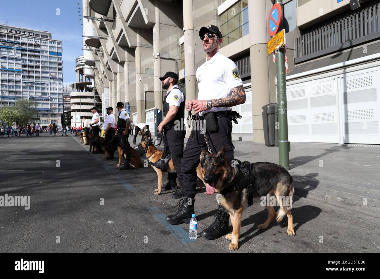 Security agents and dogs wait outside the stadium Stock Photo - Alamy