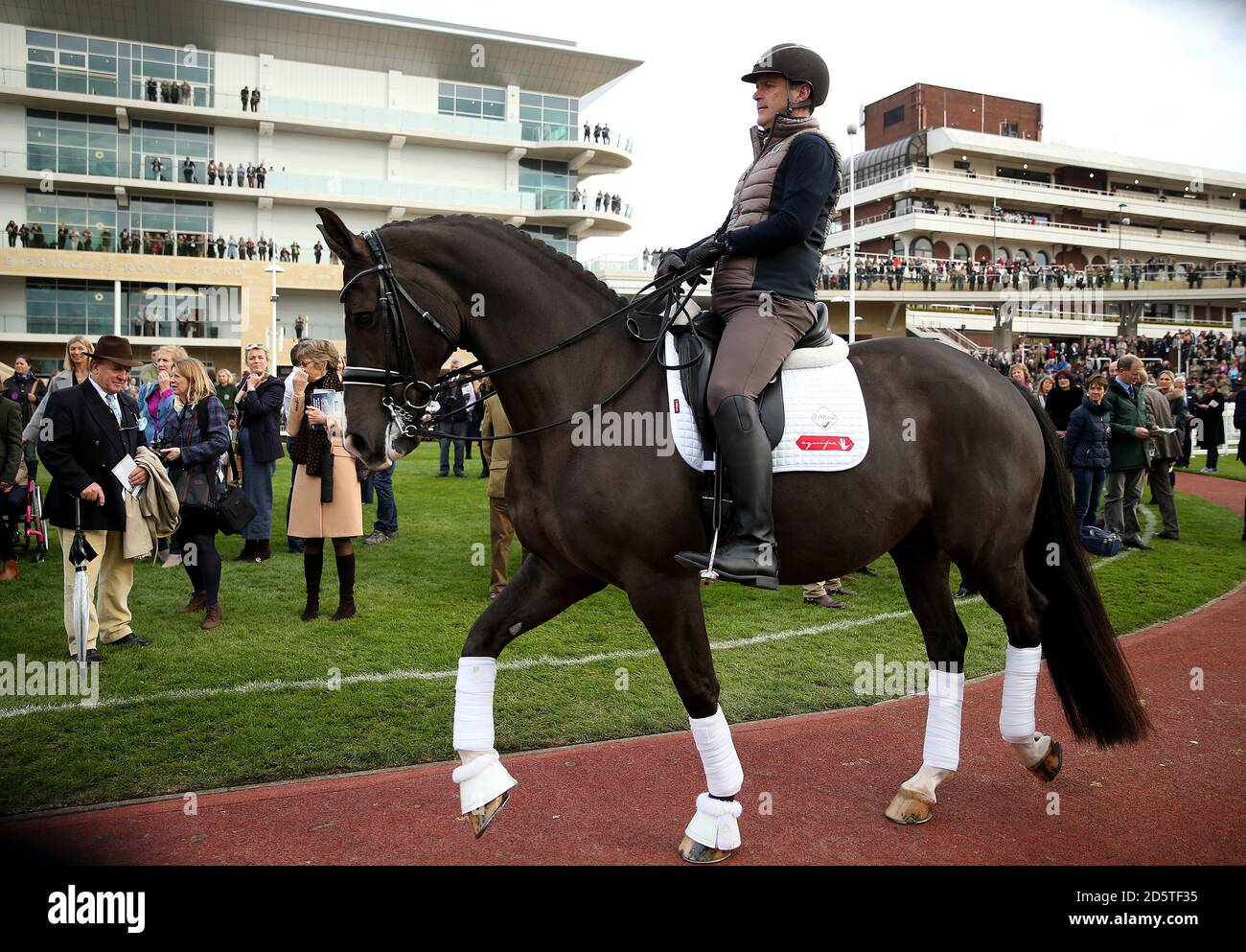 Valegro horse hi-res stock photography and images - Alamy