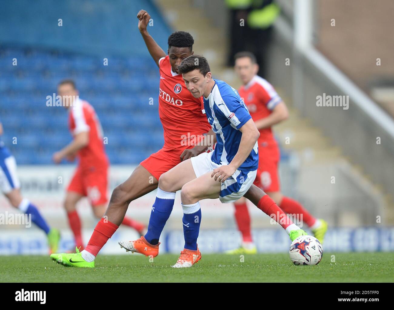 Connor dimaio hi-res stock photography and images - Alamy