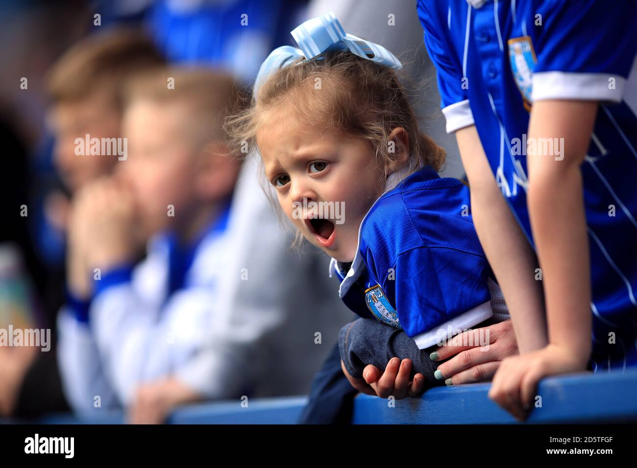 A young Sheffield Wednesday fan in the stands Stock Photo - Alamy