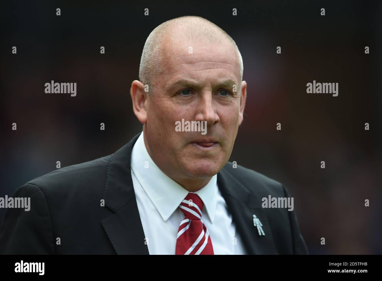 Mark warburton forest hi-res stock photography and images - Alamy