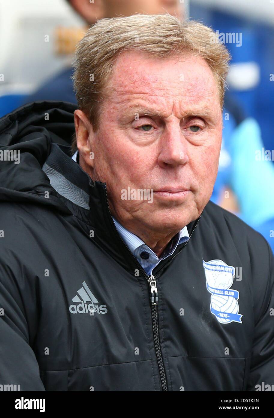 Birmingham City's manager Harry Redknapp Stock Photo - Alamy