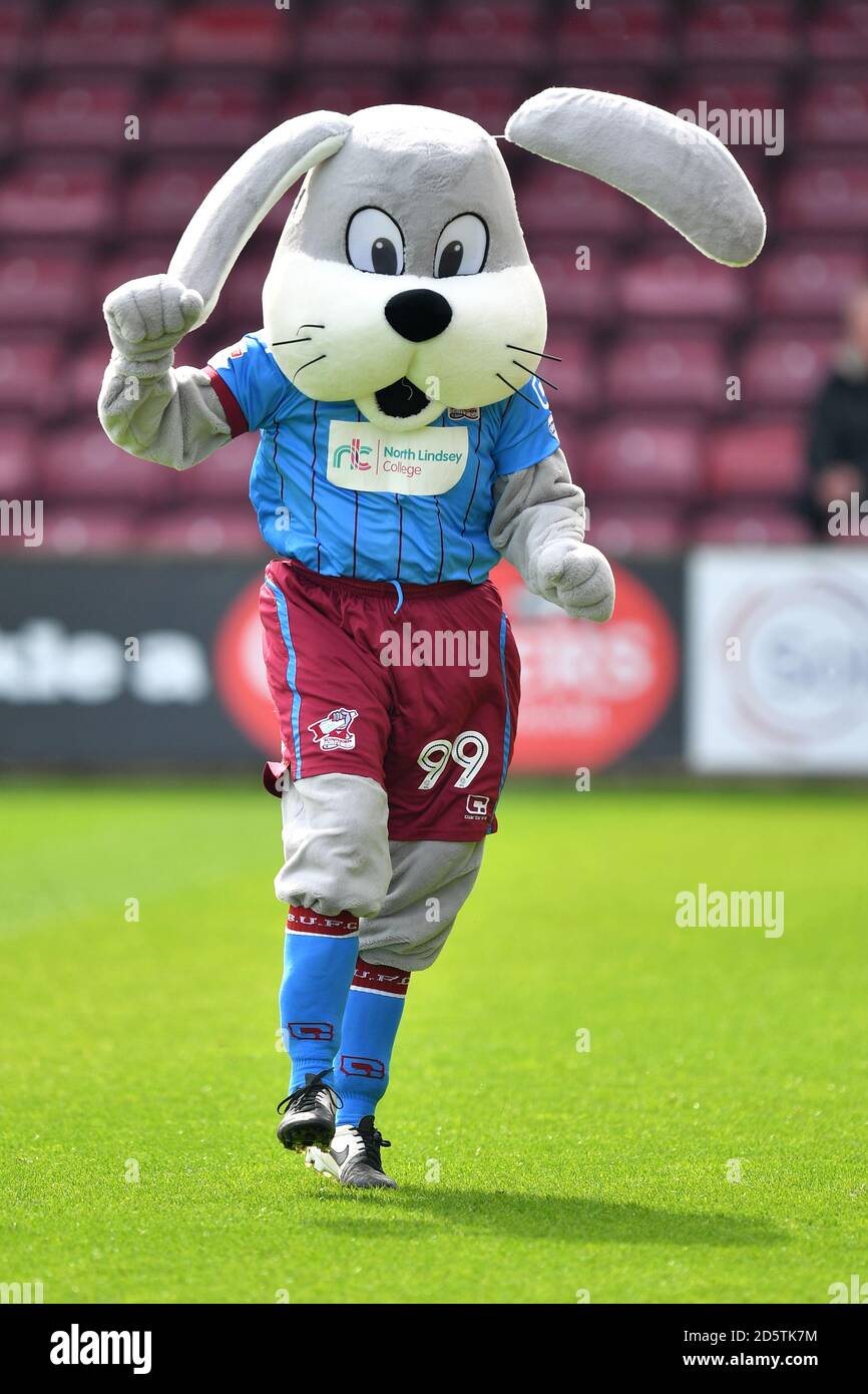 Scunthorpe United club mascot Scunny Bunny Stock Photo - Alamy