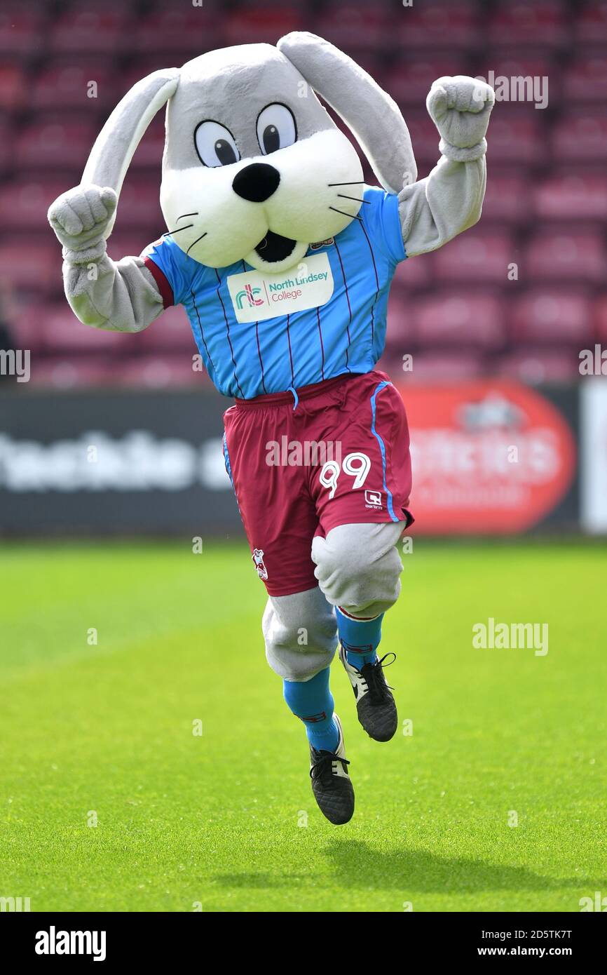 Scunny hi-res stock photography and images - Alamy