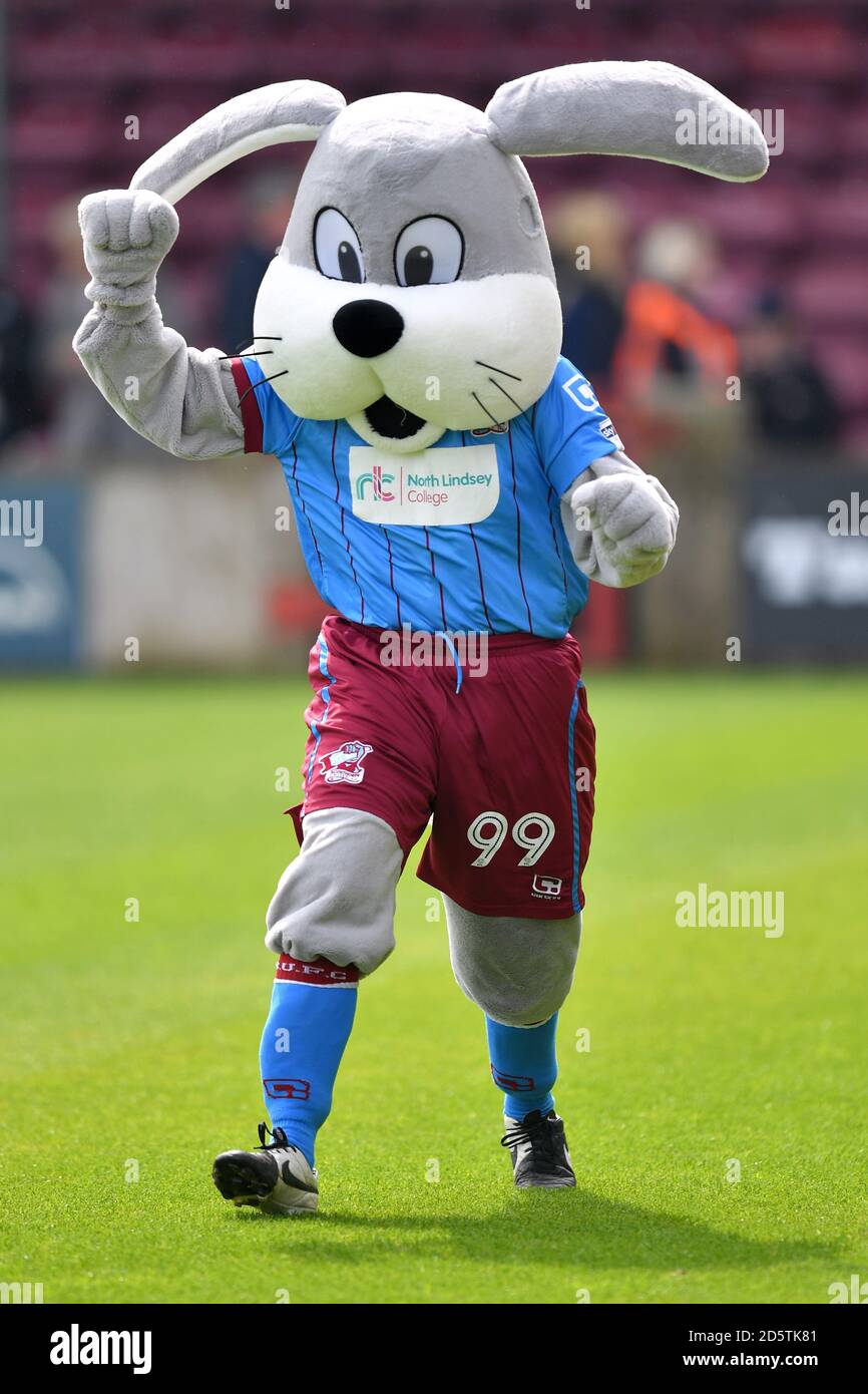 Scunny bunny hi-res stock photography and images - Alamy