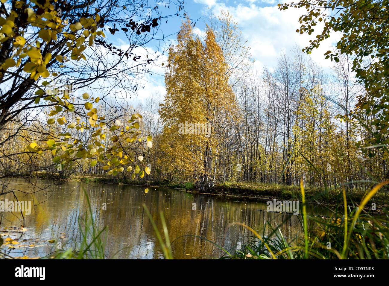 September landscape near the forest lake in the autumn day Stock Photo ...