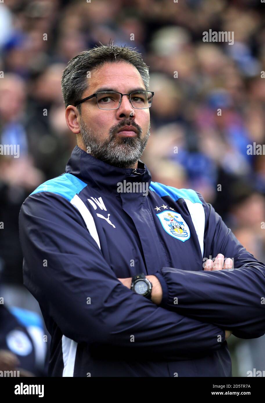 Huddersfield Town manager David Wagner Stock Photo - Alamy
