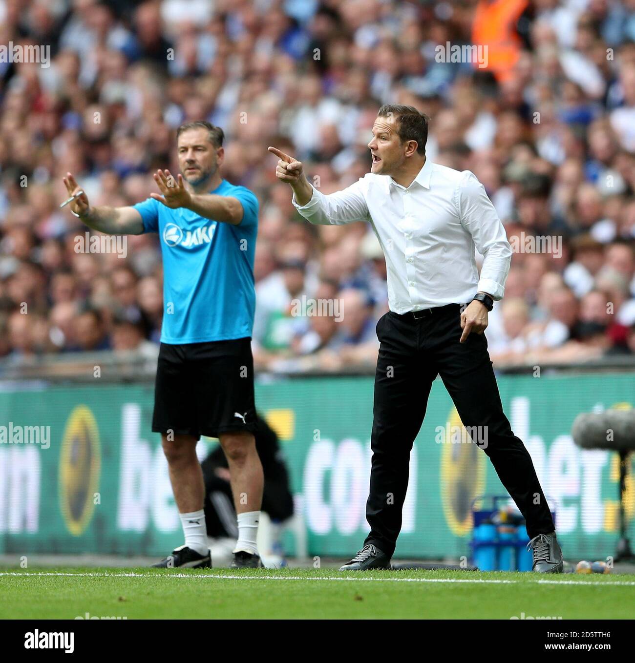 Forest Green Rovers' manager Mark Cooper Stock Photo - Alamy