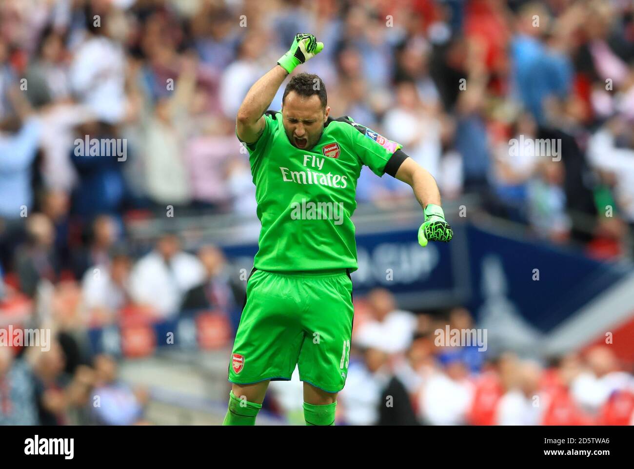 Arsenal goalkeeper David Ospina celebrates as his side take the lead ...