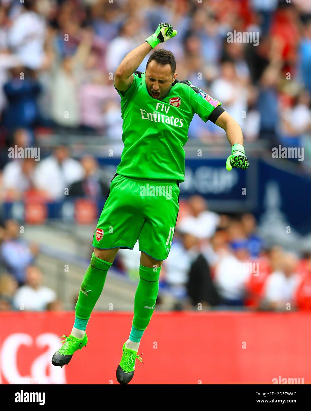 Arsenal goalkeeper David Ospina celebrates as his side take the lead ...
