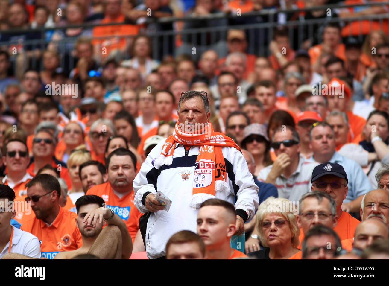 Blackpool fans in the stands Stock Photo - Alamy